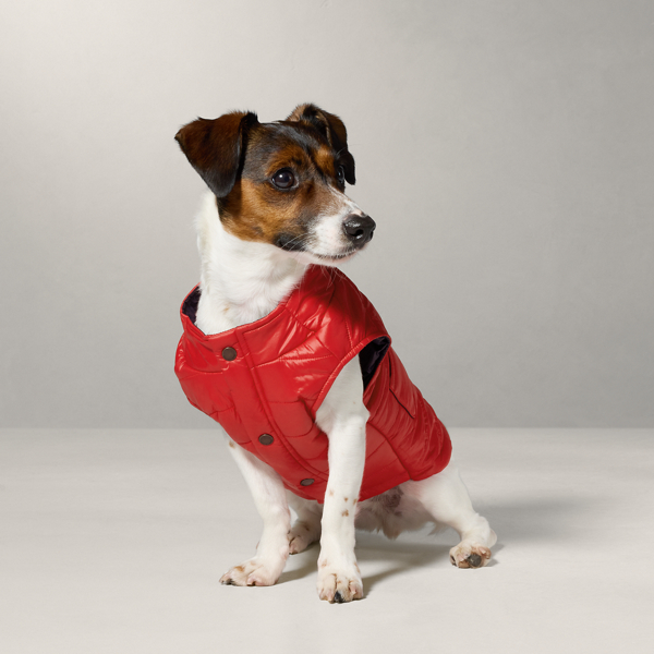 Chaqueta acolchada para perro | Ralph Lauren® ES
